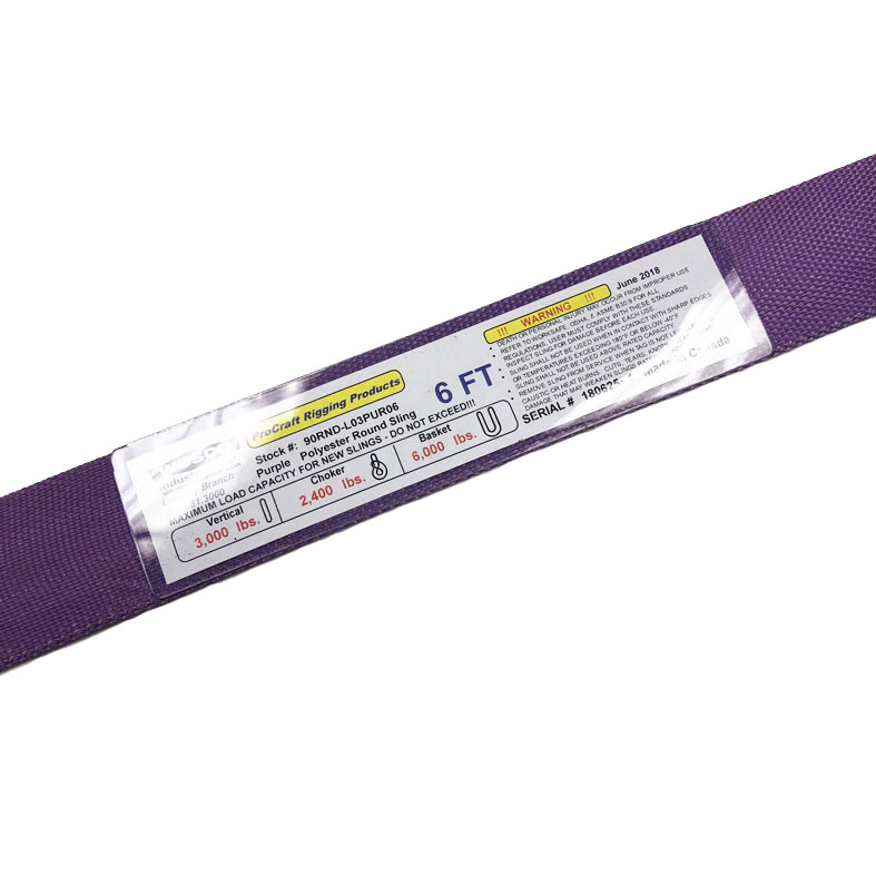 Purple ProCraft Polyester Round Sling x 6 FT | Wesco Industries
