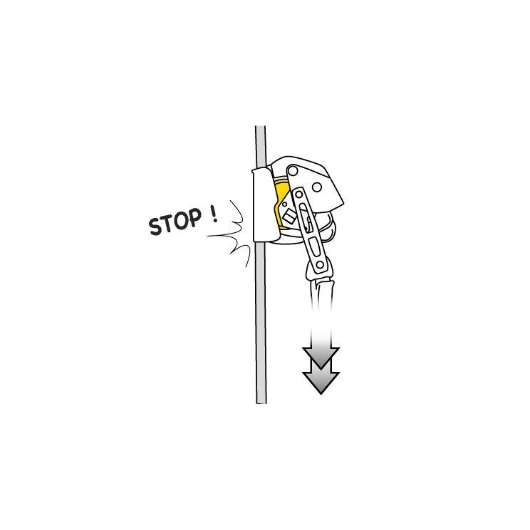 B071BA00 Petzl ASAP LOCK Mobile Fall Arrestor | Wesco Industries